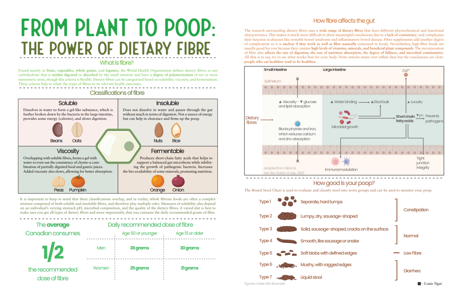 From Plant to Poop: The Power of Dietary Fibre – IMMPress Magazine