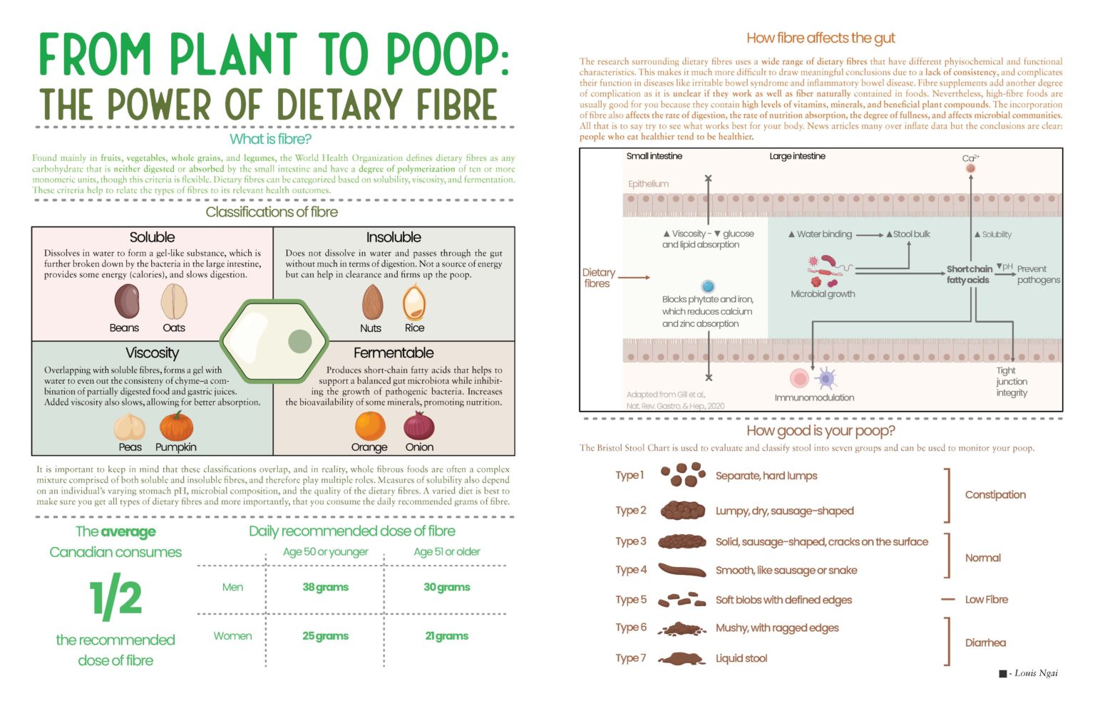 From Plant to Poop: The Power of Dietary Fibre – IMMPress Magazine